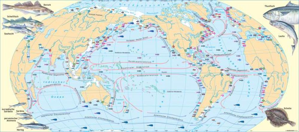 Weltmeere als Nahrungsquelle / Umweltbelastung - -978-3-14-100770-1-40 ...