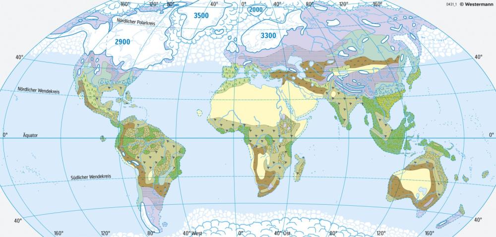 Erde - Vegetation zur letzten Kaltzeit (vor 18 000 Jahren)-978-3-14-100900-2-272-2-1 | Diercke.de